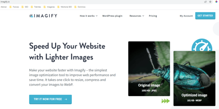 Tutorial IMAGIFY Como usarlo GRATIS