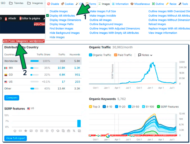 Atributo ALT Qué es y cómo optimizarlo en imágenes